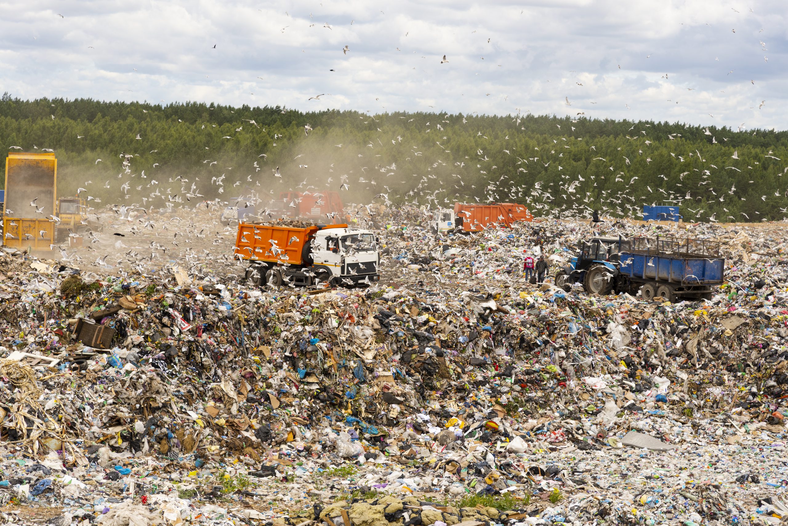 Global Waste Management 101 Why Is Zero Waste Manufacturing Important Global Waste Management 101 Why Is Zero Waste Manufacturing Important